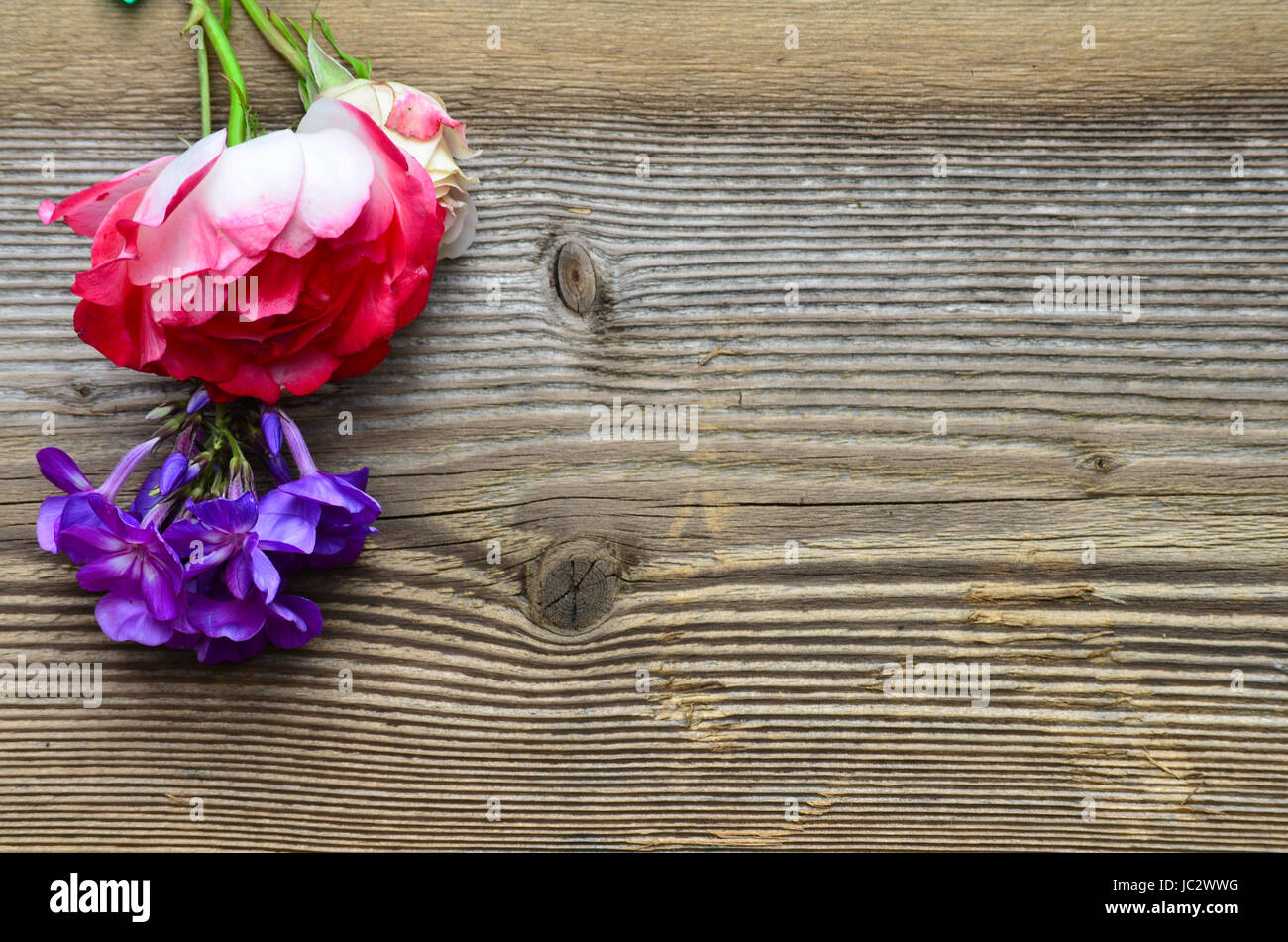 wood background rose Stock Photo - Alamy