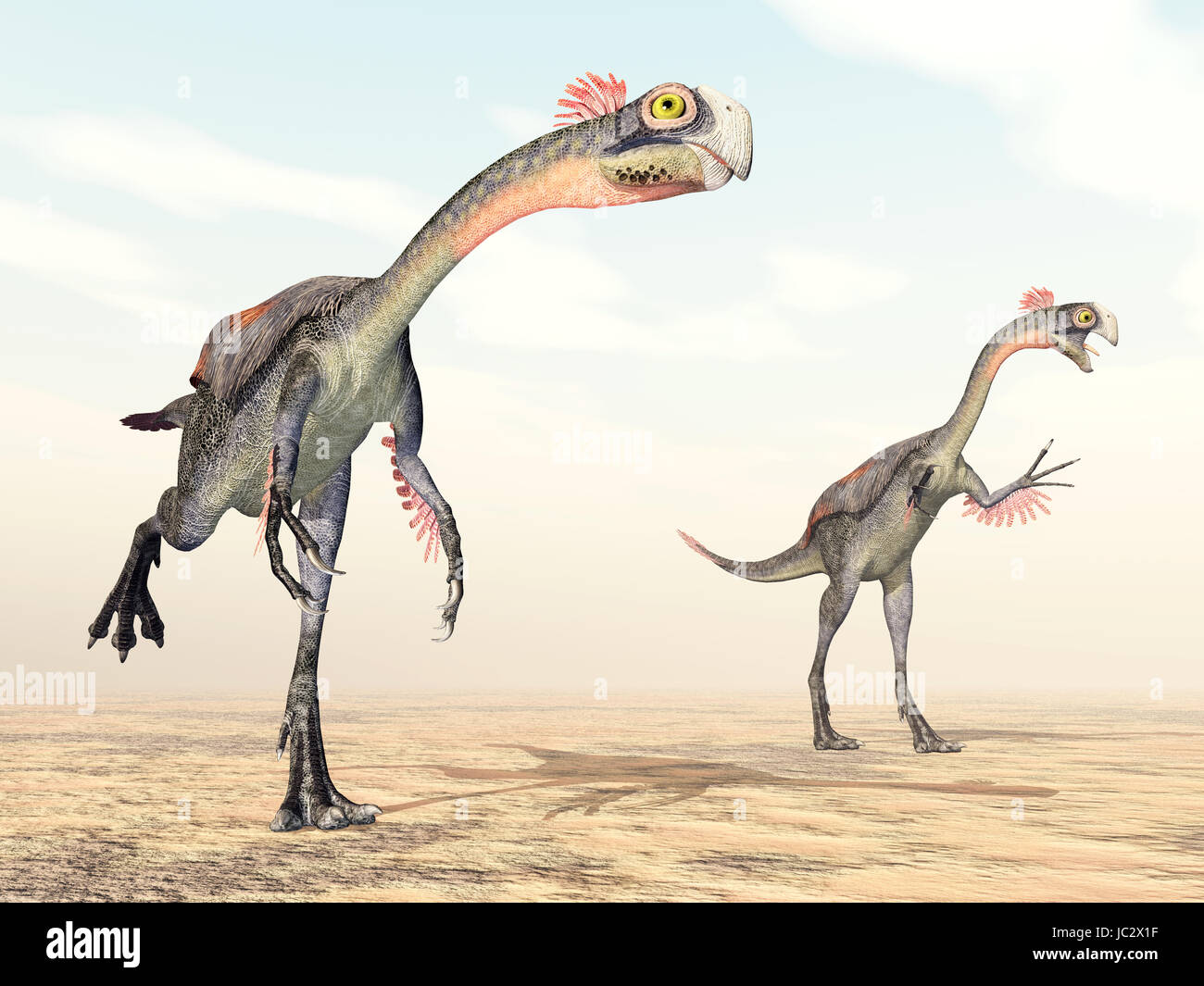 Gigantoraptor hi-res stock photography and images - Alamy