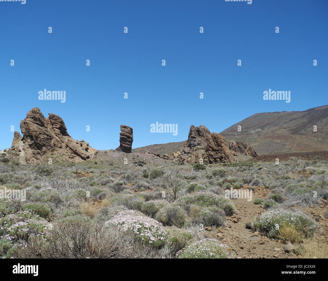 Roque Cinchado, Teneriffa, roques de garcia, steinerner baum, finger ...