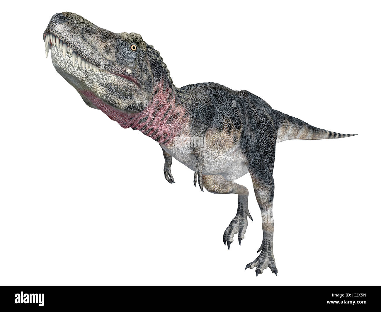 Tarbosaurus hi-res stock photography and images - Alamy