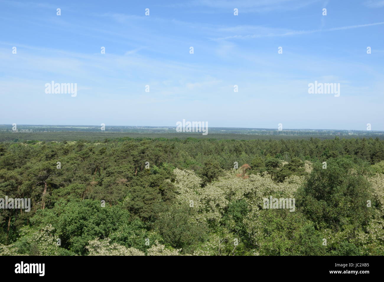 Aerial view on forests in Greater Poland region of Poland Stock Photo ...