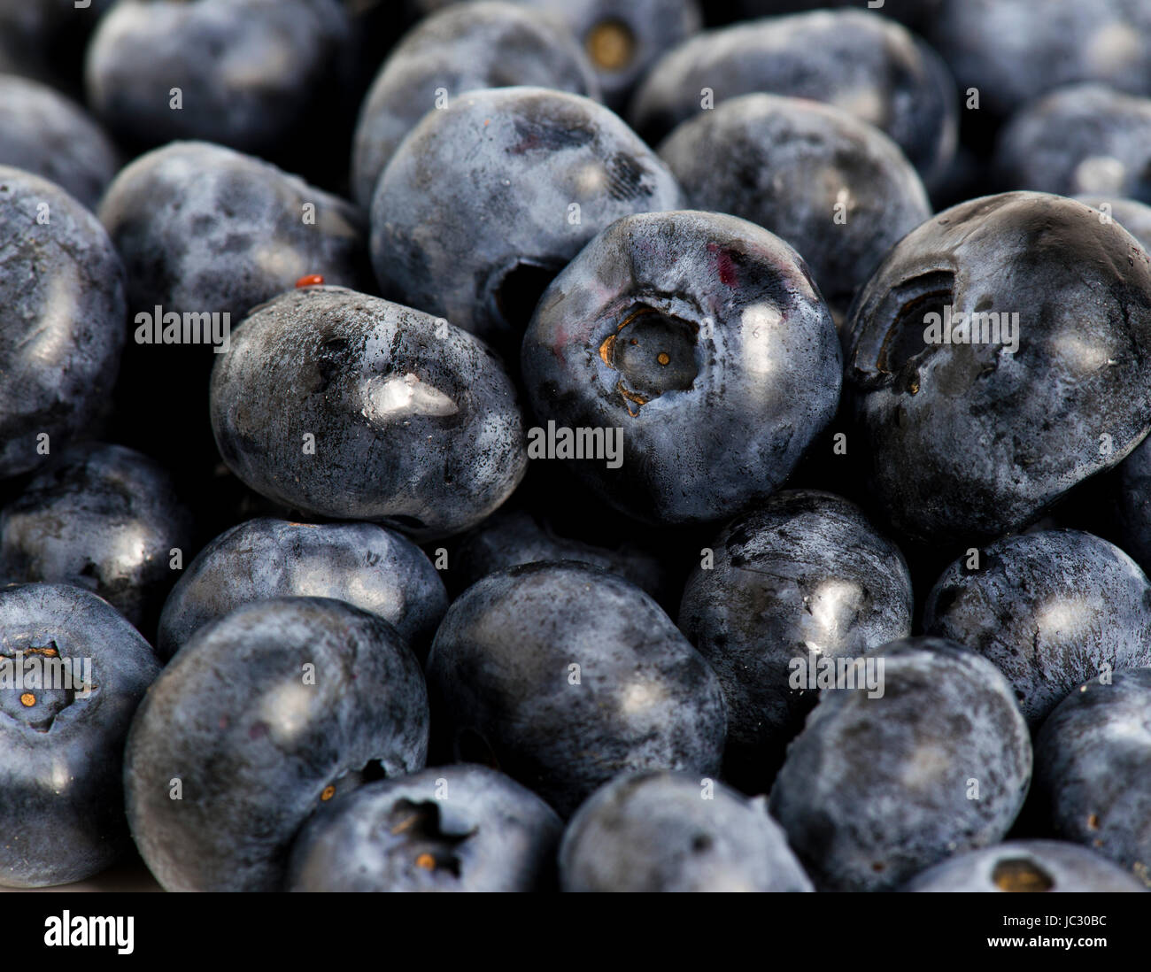 Sweet details of blueberry Stock Photo - Alamy