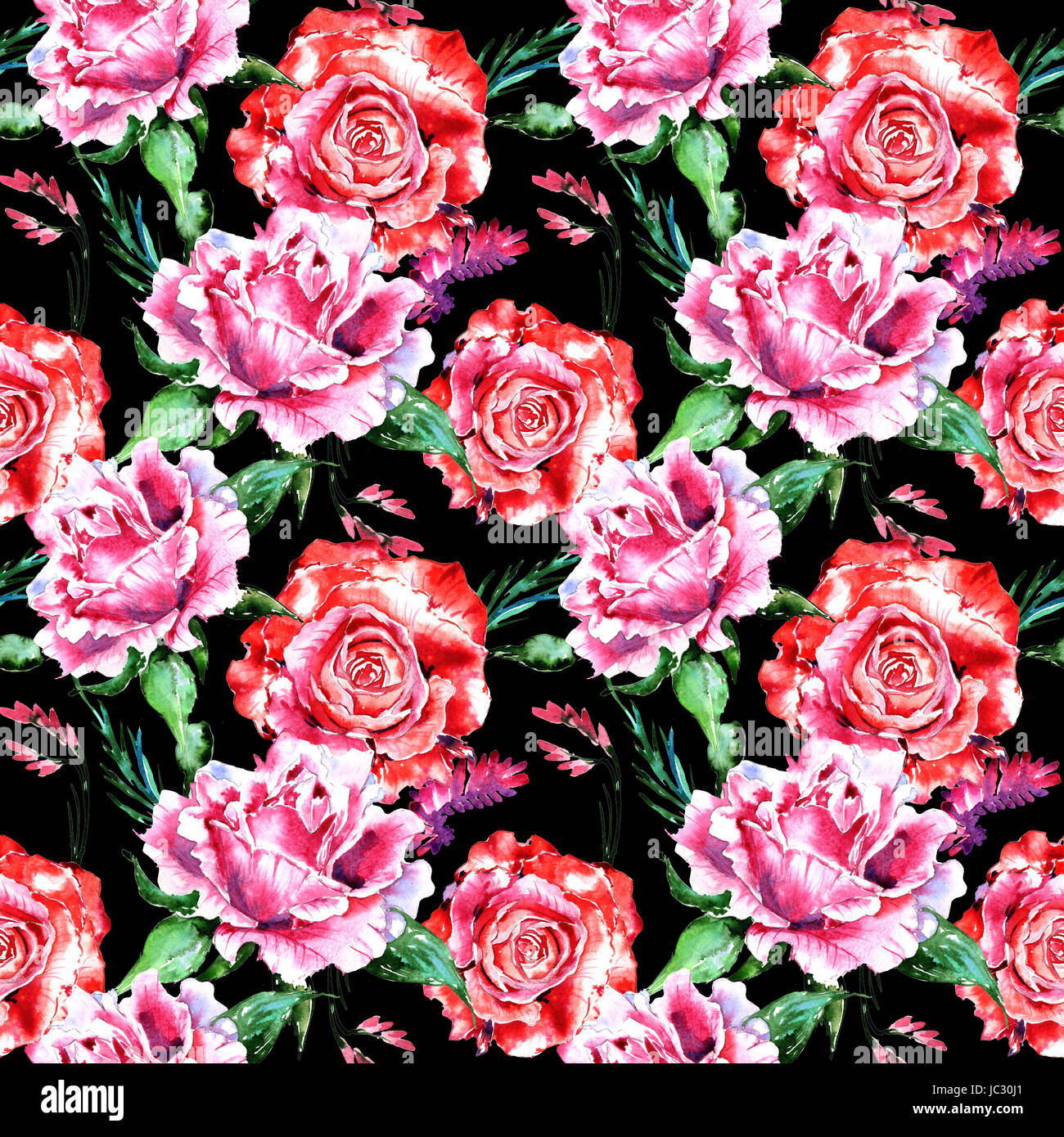 Wildflower rose flower pattern in a watercolor style isolated. Full ...