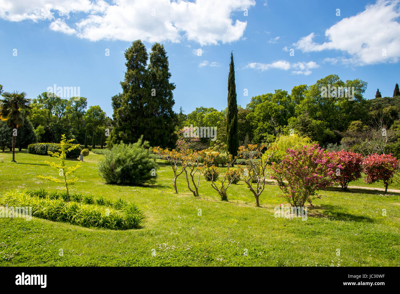 Island of brijuni hi-res stock photography and images - Alamy