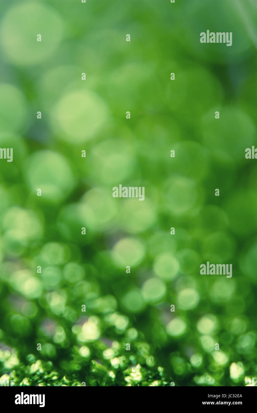 Light Patches High Resolution Stock Photography and Images - Alamy