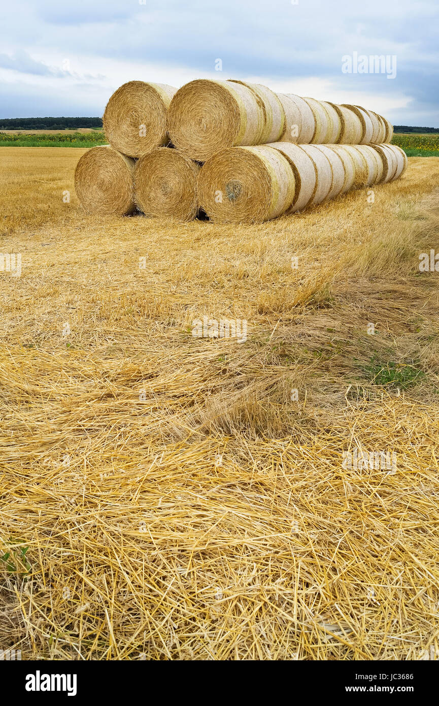 Field rollers hi-res stock photography and images - Alamy
