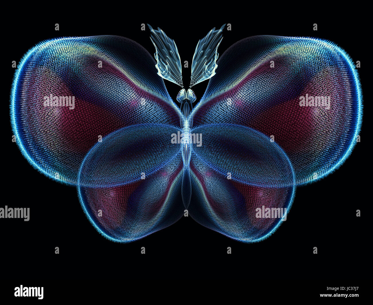 Never Were Butterflies series. Creative arrangement of isolated ...