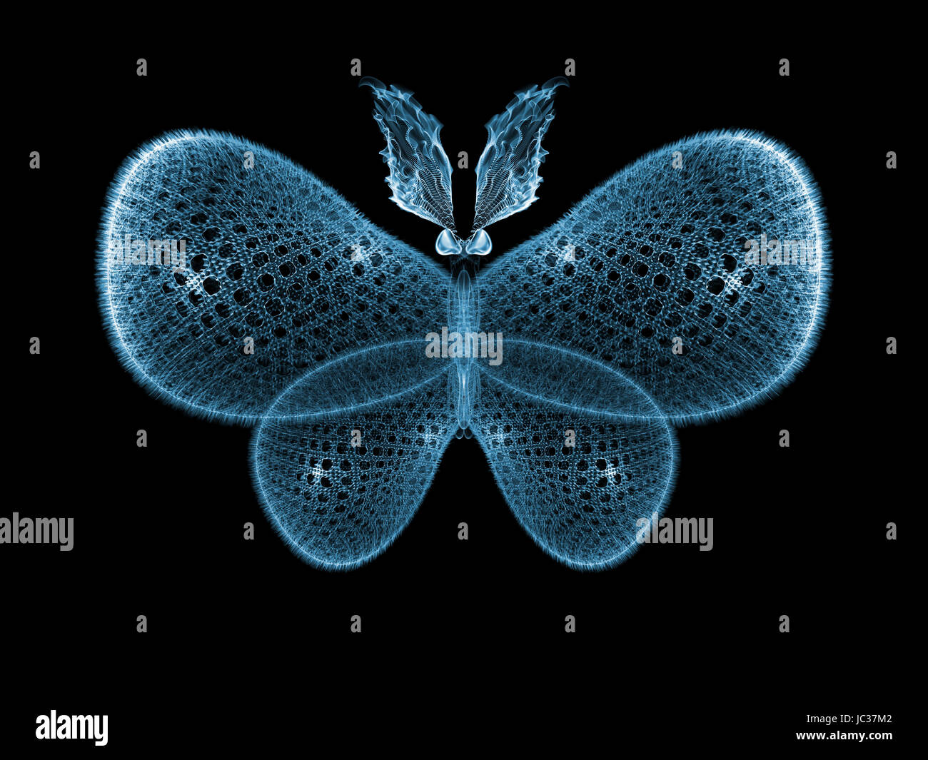 Never Were Butterflies series. Graphic composition of isolated ...