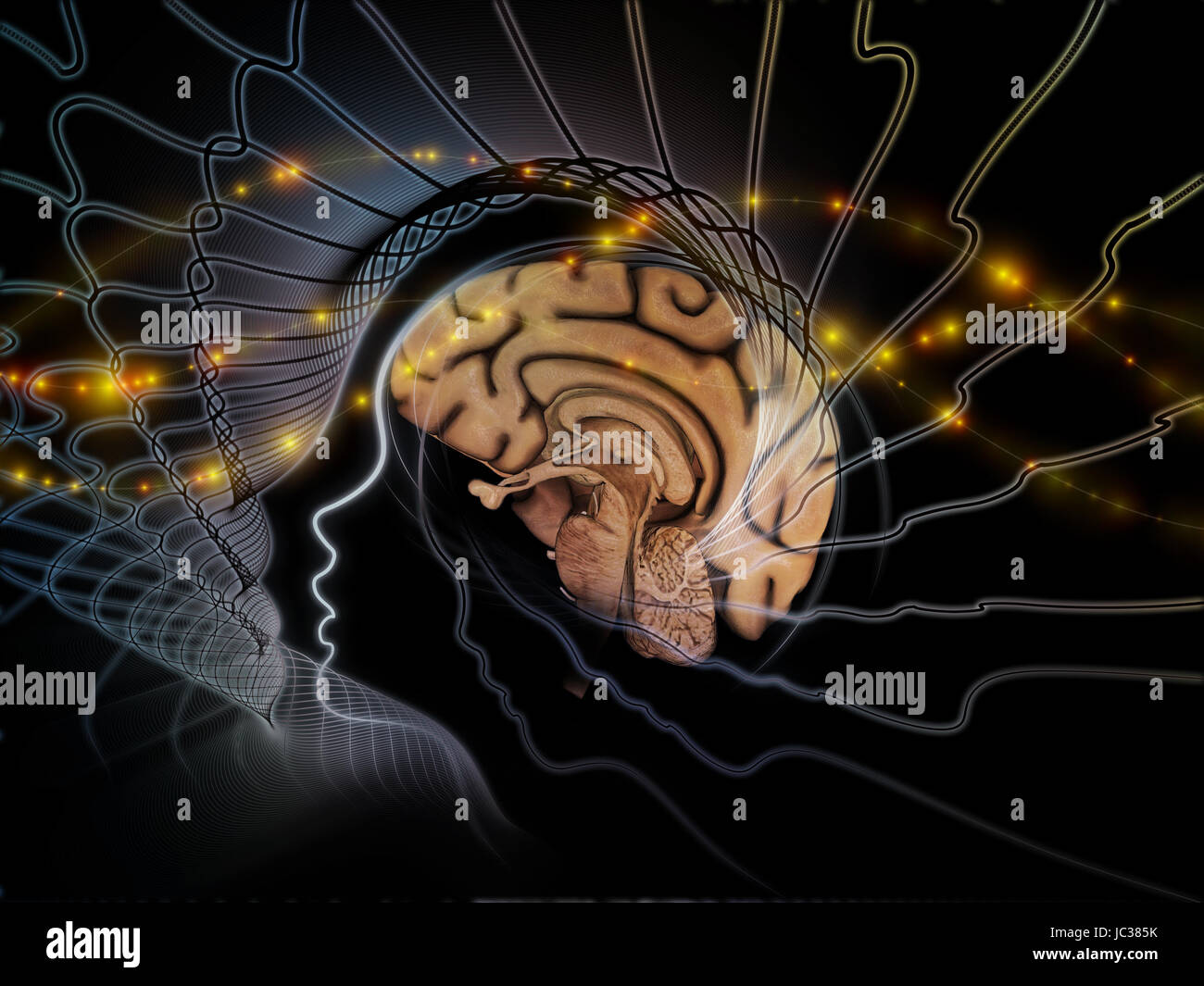 Human Mind series. Composition of brain, human outlines and fractal ...