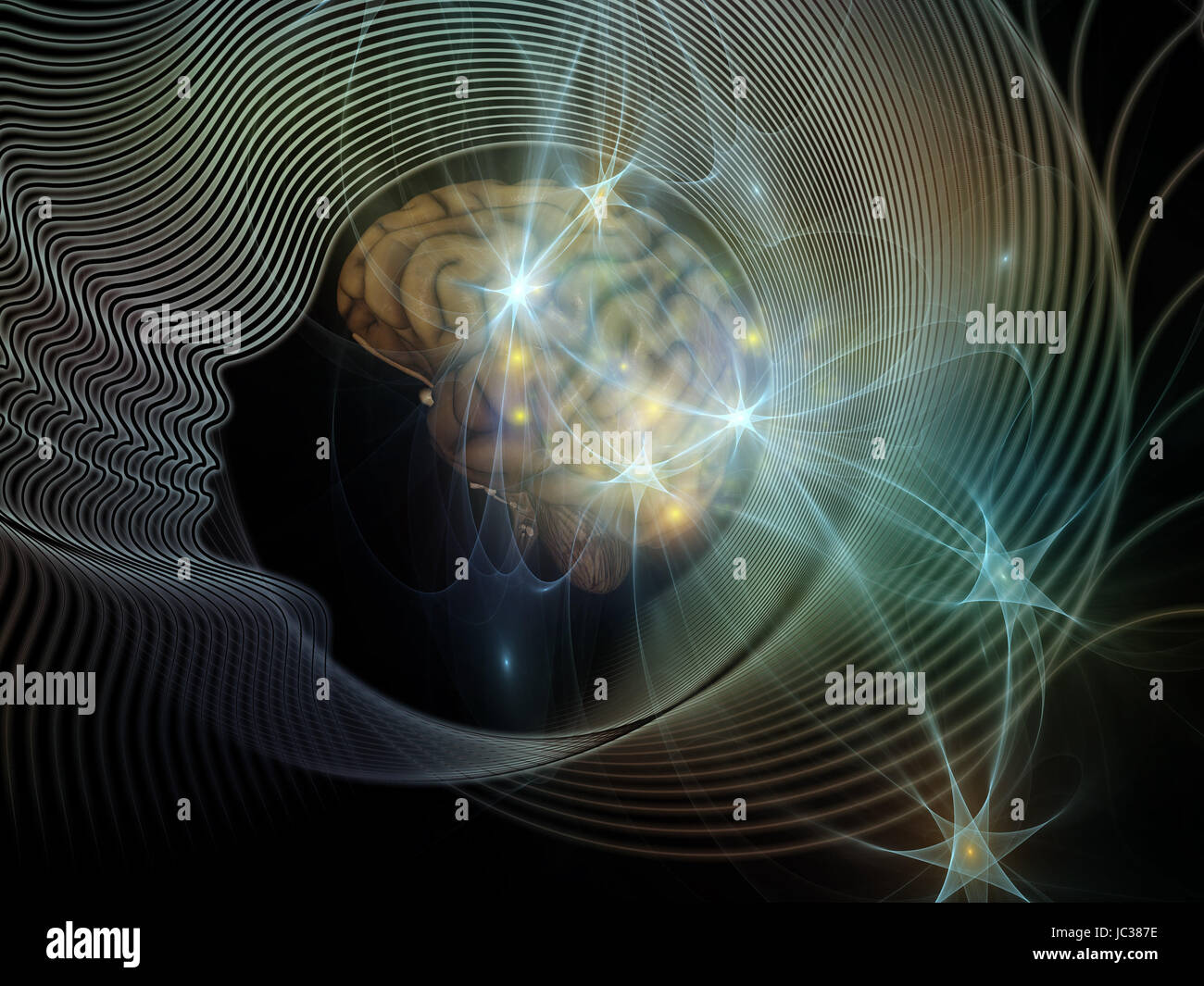 Human Mind series. Composition of brain, human outlines and fractal ...