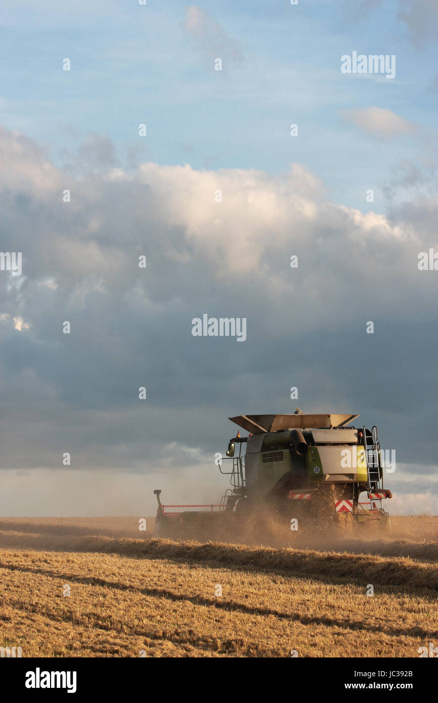 Thresh Corn Stock Photos & Thresh Corn Stock Images - Alamy