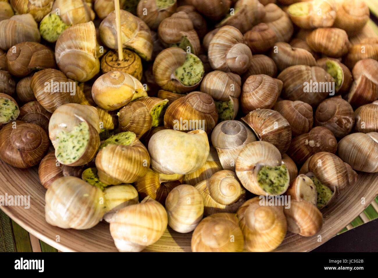 Olive snail hi-res stock photography and images - Alamy