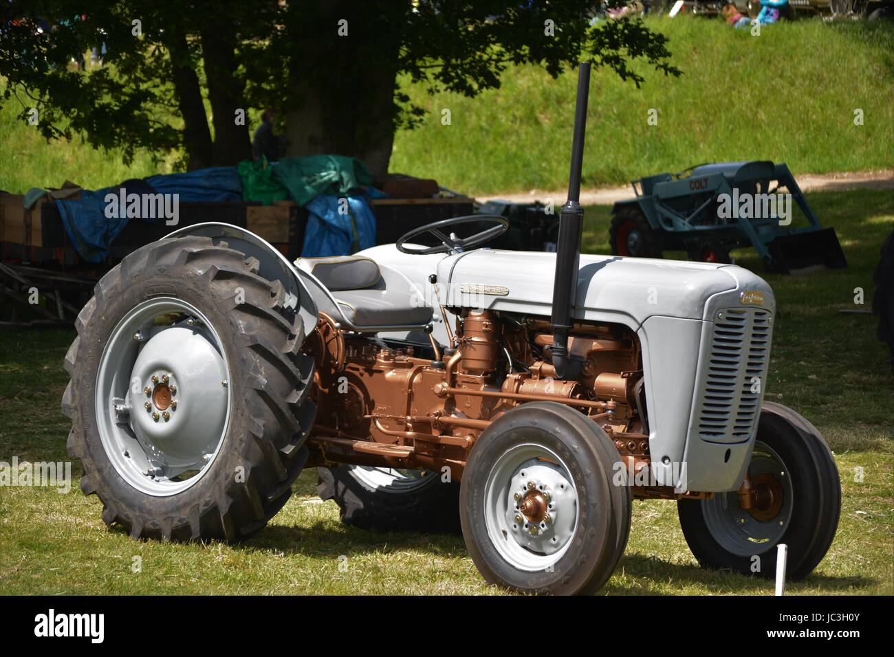 Grey fergie hi-res stock photography and images - Alamy