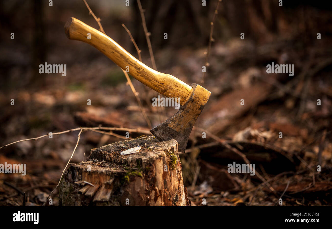 Outdoor photo of axe in stump Stock Photo - Alamy