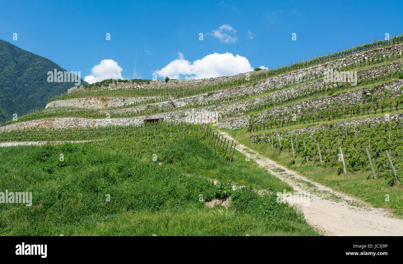 Novacella Abbey (Abbazia di Novacella) in South Tyrol - Bressanone ...