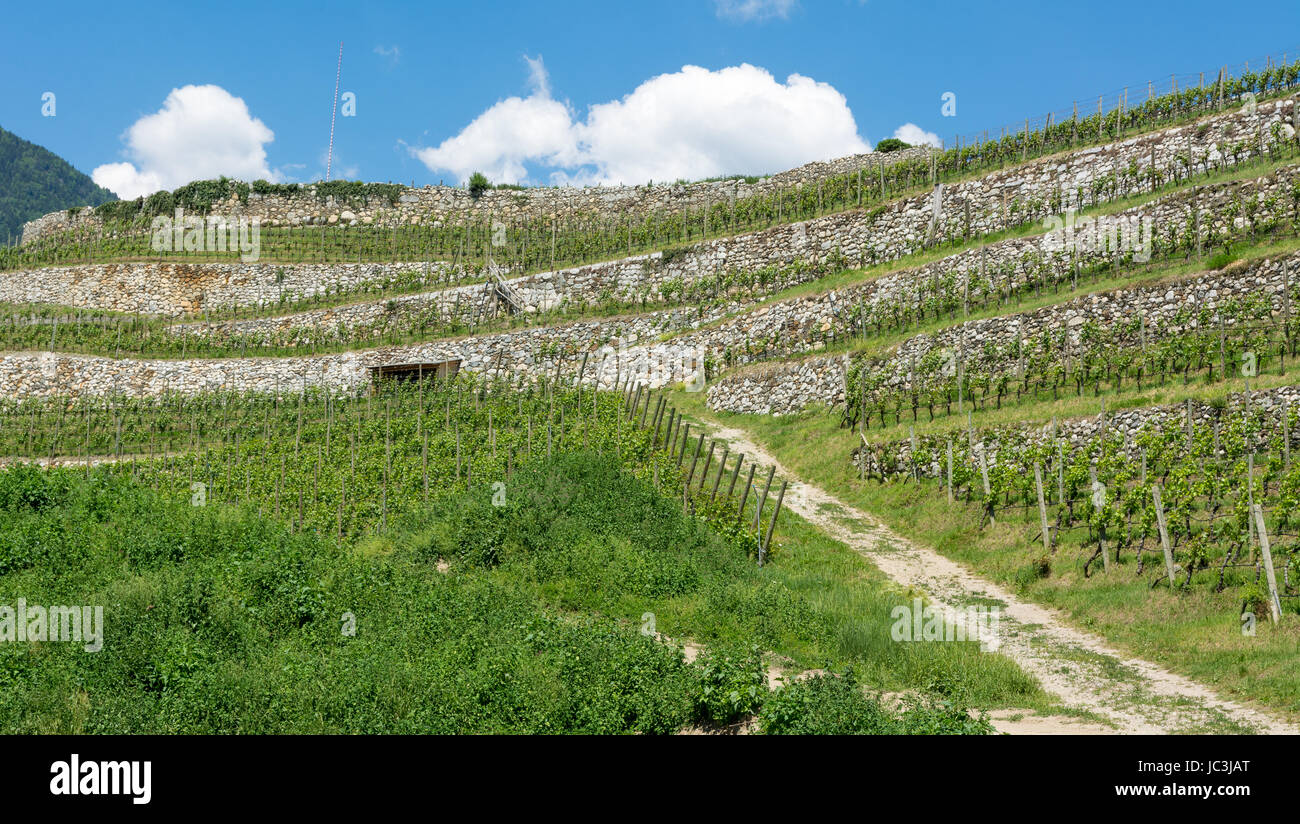 Novacella Abbey (Abbazia di Novacella) in South Tyrol - Bressanone ...