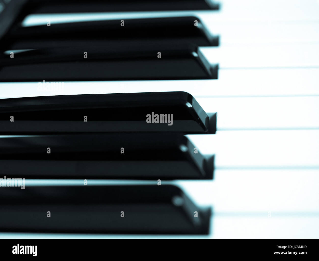 Detail of black and white keys on music keyboard - selective focus ...
