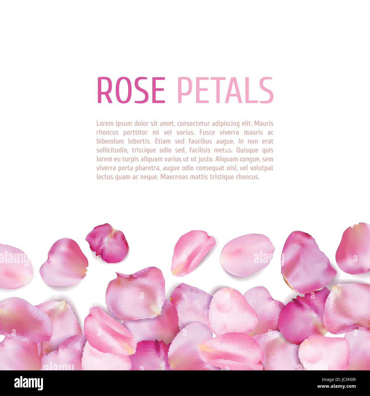 Pink Rose petals border Stock Vector Image & Art - Alamy