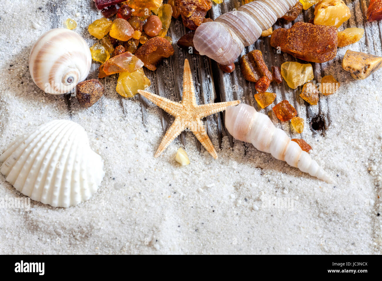 Strand sand und muscheln hi-res stock photography and images - Alamy