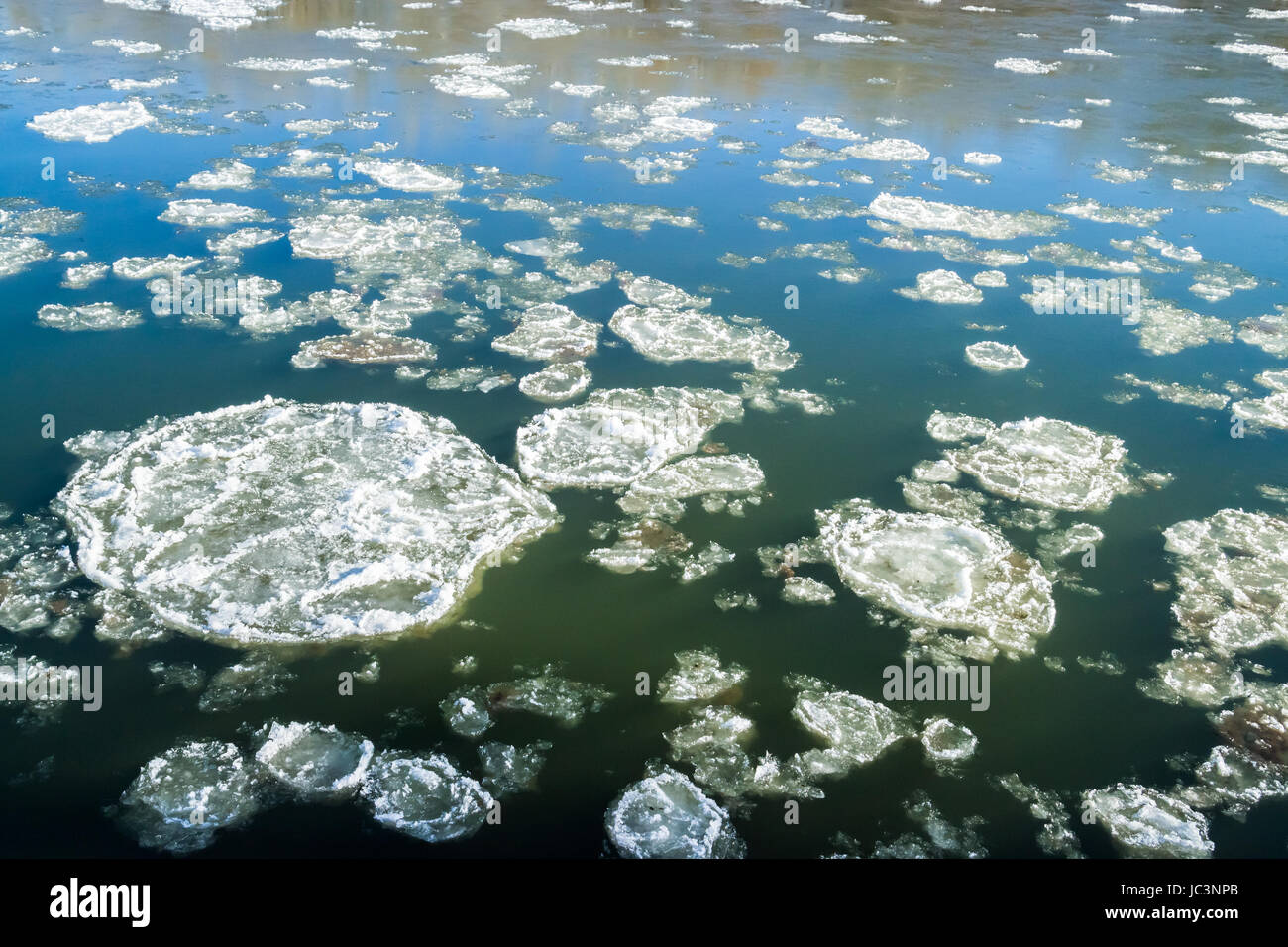 circular ice floes floating in the river begins to freeze Stock Photo ...
