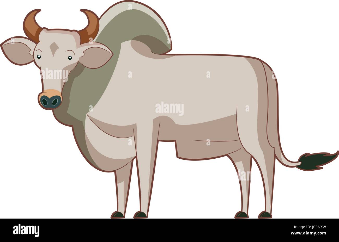 Zebu cow Stock Vector Images - Alamy