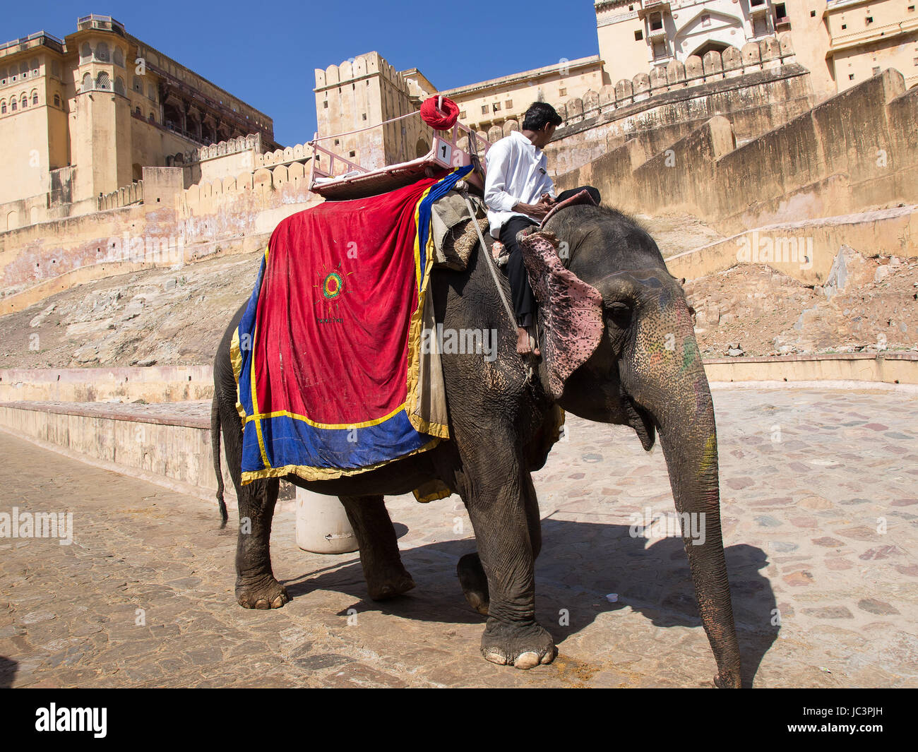 India, Rajasthan, Jaipur, the Amber Fort, elephant driver Stock Photo ...