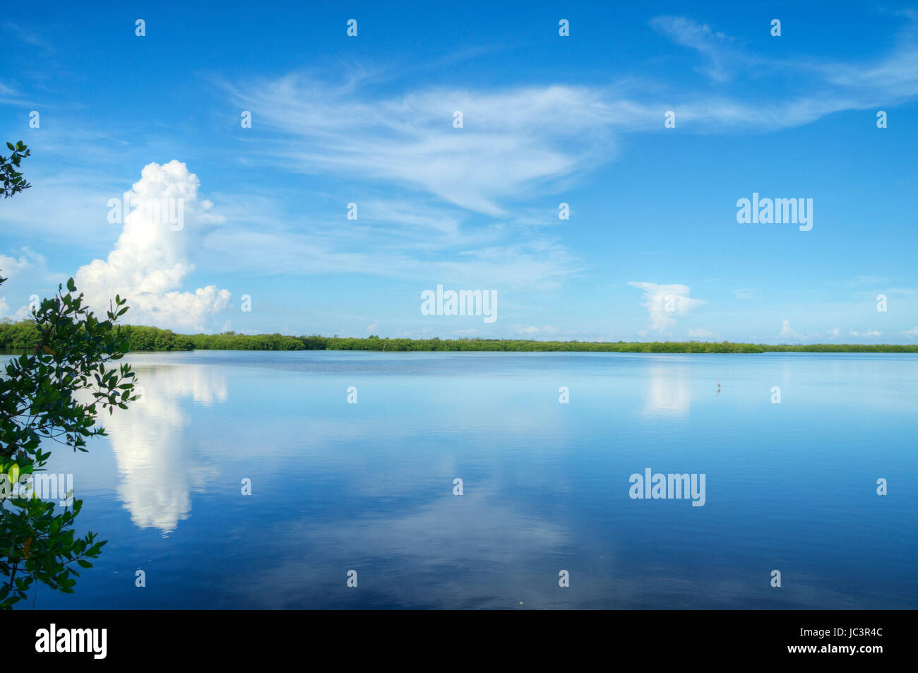 Istock hi-res stock photography and images - Alamy