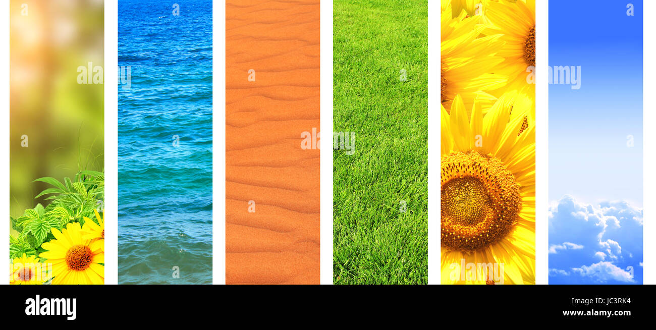 Collection of vertical banner with nature details - sunflower, sand ...