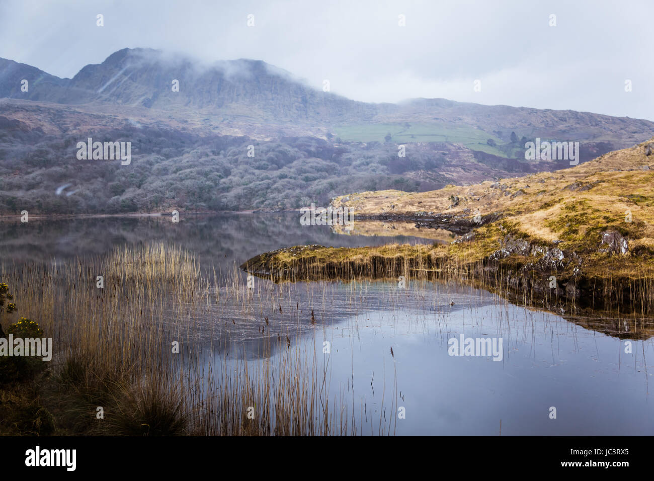 A beautiful irish mountain landscape with a lake in spring ...