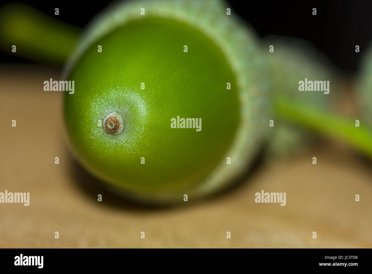 Nussart hi-res stock photography and images - Alamy