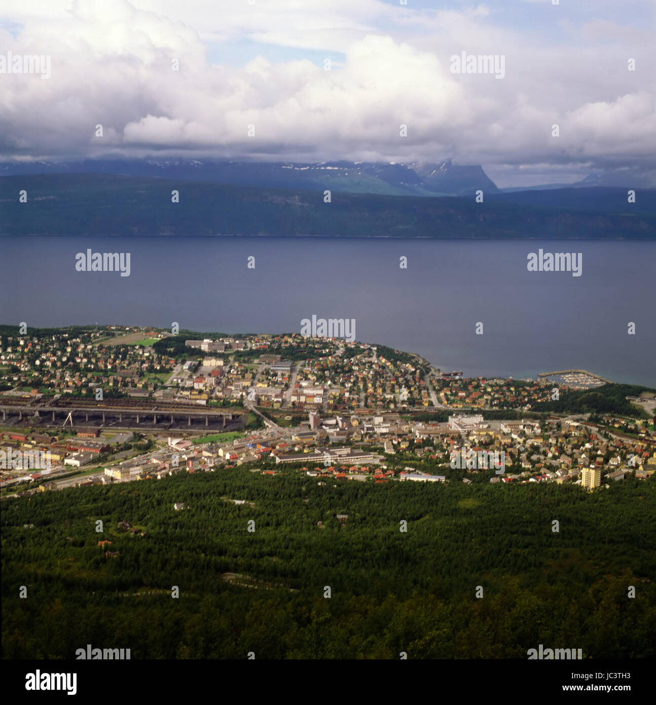 Norway narvik forest hi-res stock photography and images - Alamy