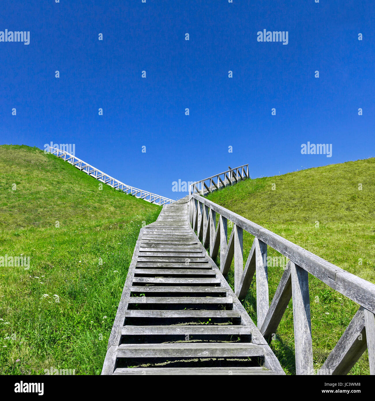 View of wooden steps leading up a hill in the summer Stock Photo - Alamy