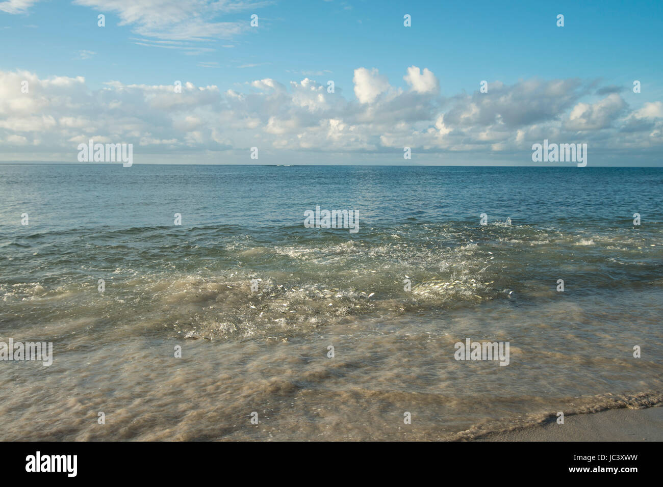 early morning at the beach Stock Photo - Alamy