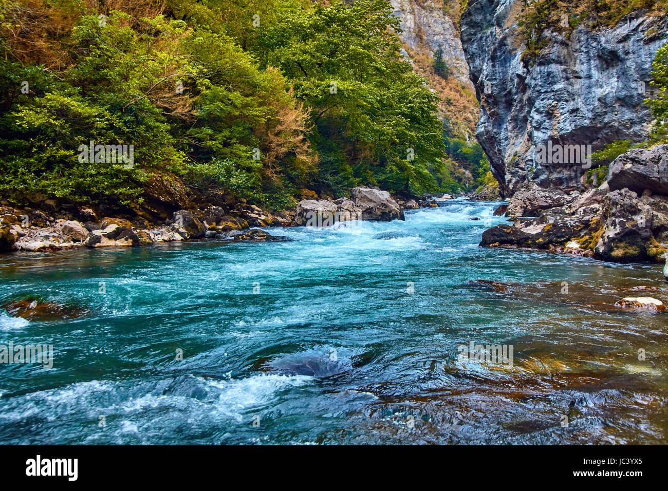 landscape with mountains, forest and a river. Mountain nature landscape ...
