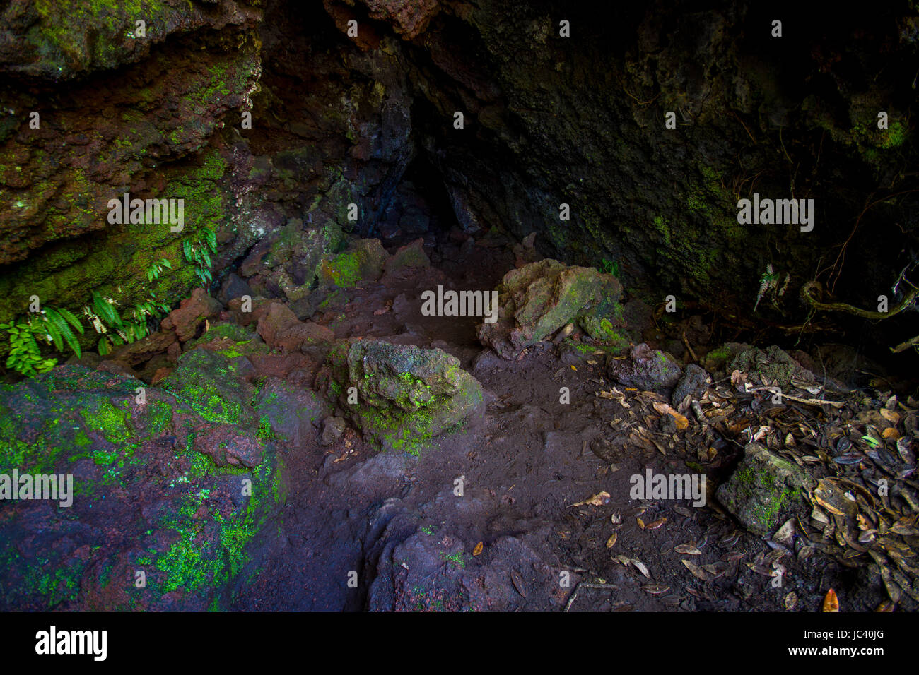 Beautiful dark Cave in Rangitoto Island, made of volcanic formations in ...