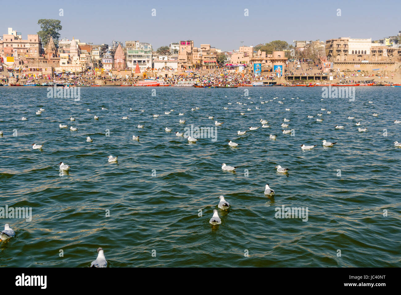 Panoramic view across the holy river Ganges on Dashashwamedh Ghat, Main ...
