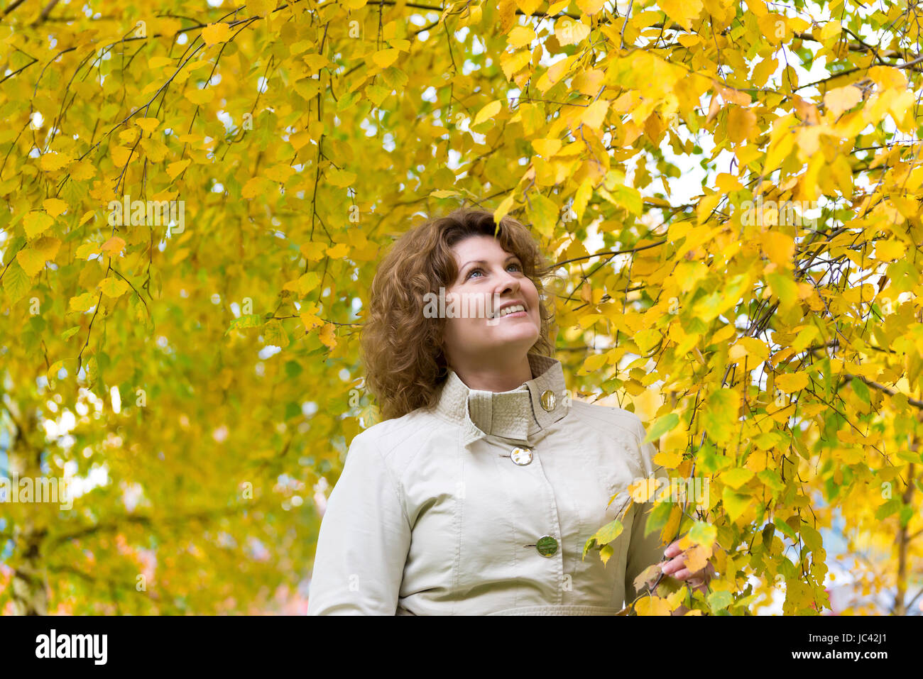 Curly birch hi-res stock photography and images - Alamy