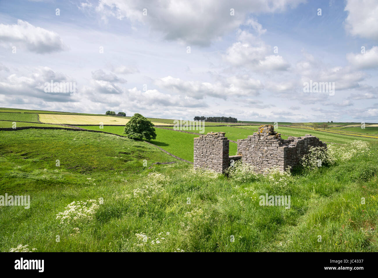 Weather stone hi-res stock photography and images - Alamy