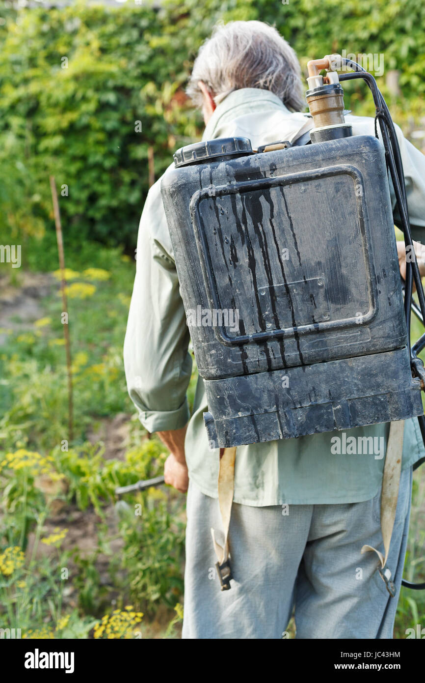 worker spraying of pesticide on country garden in summer Stock Photo ...
