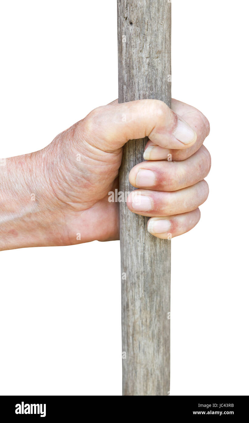 male hand holds old wooden stick isolated on white background Stock ...