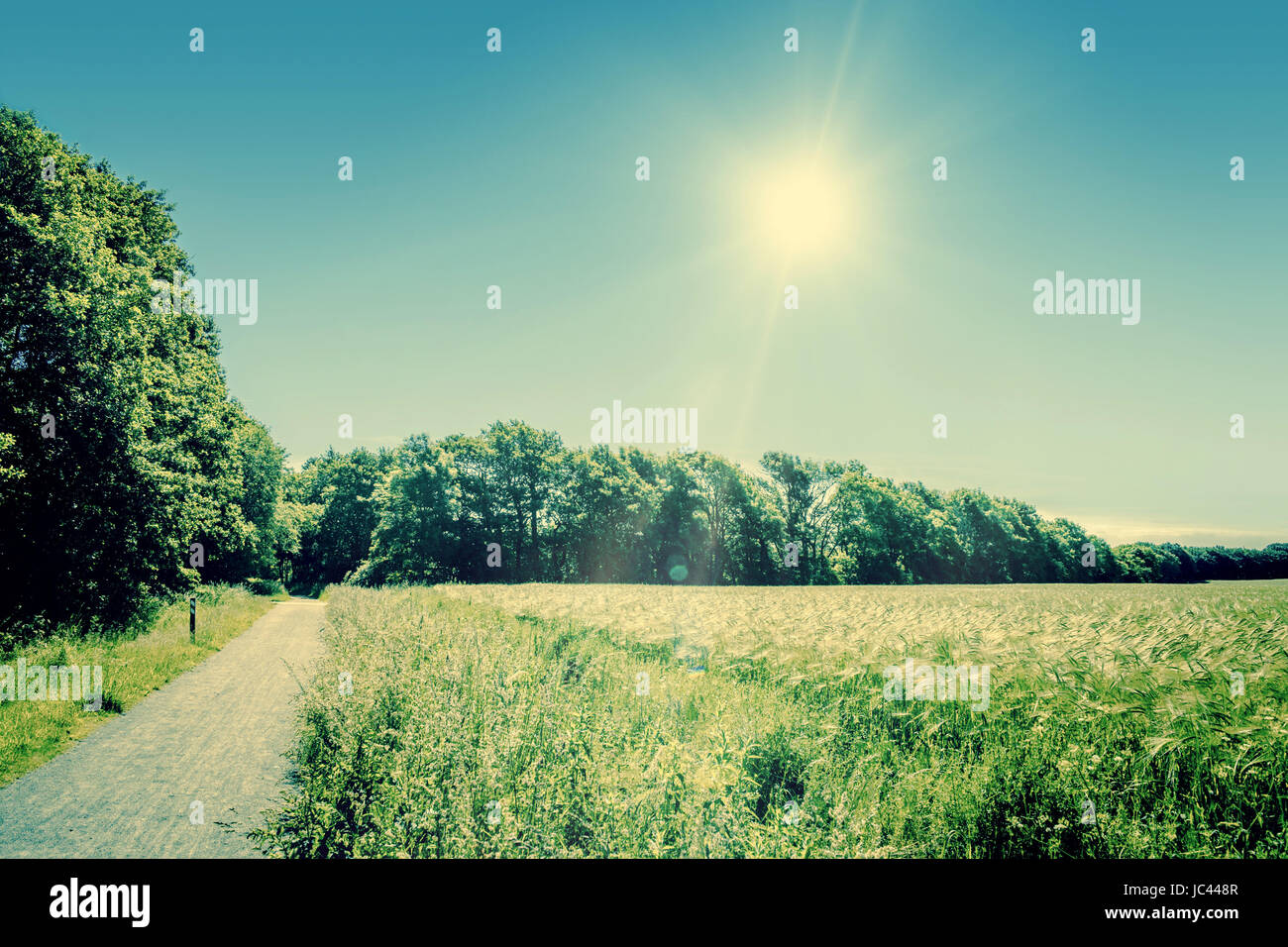 High resolution photo in best quality Stock Photo - Alamy