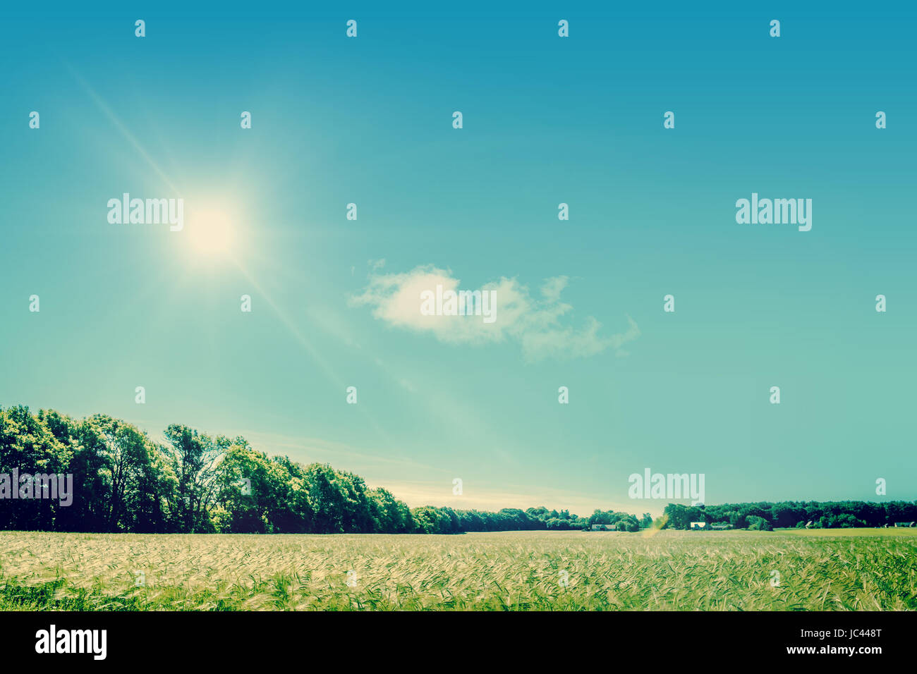 High resolution photo in best quality Stock Photo - Alamy