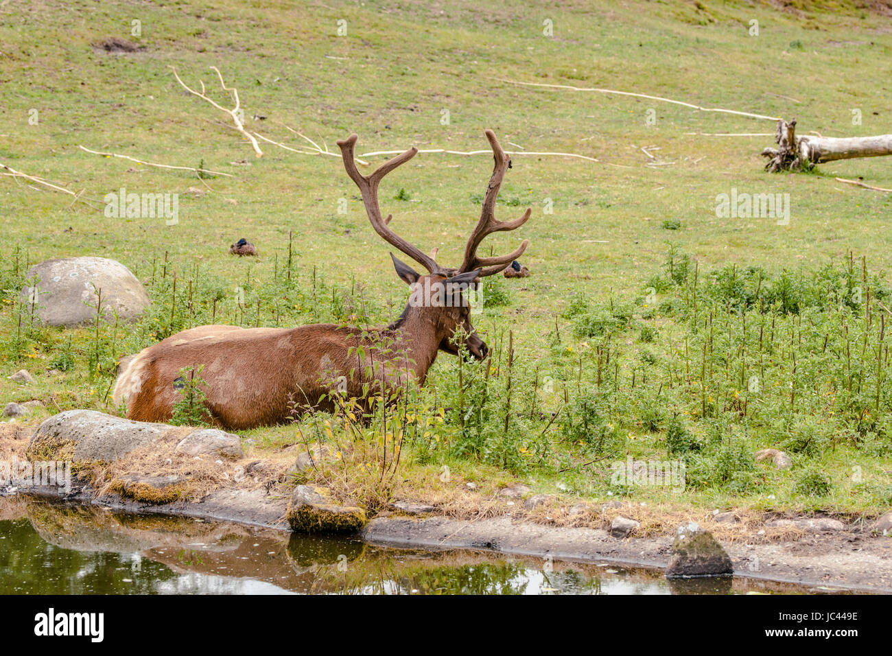 High resolution photo in best quality Stock Photo - Alamy