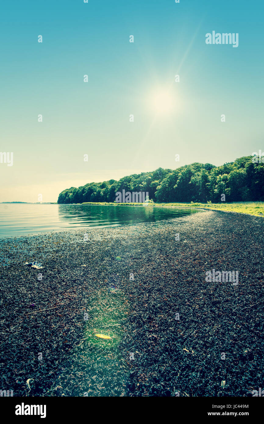 High resolution photo in best quality Stock Photo - Alamy