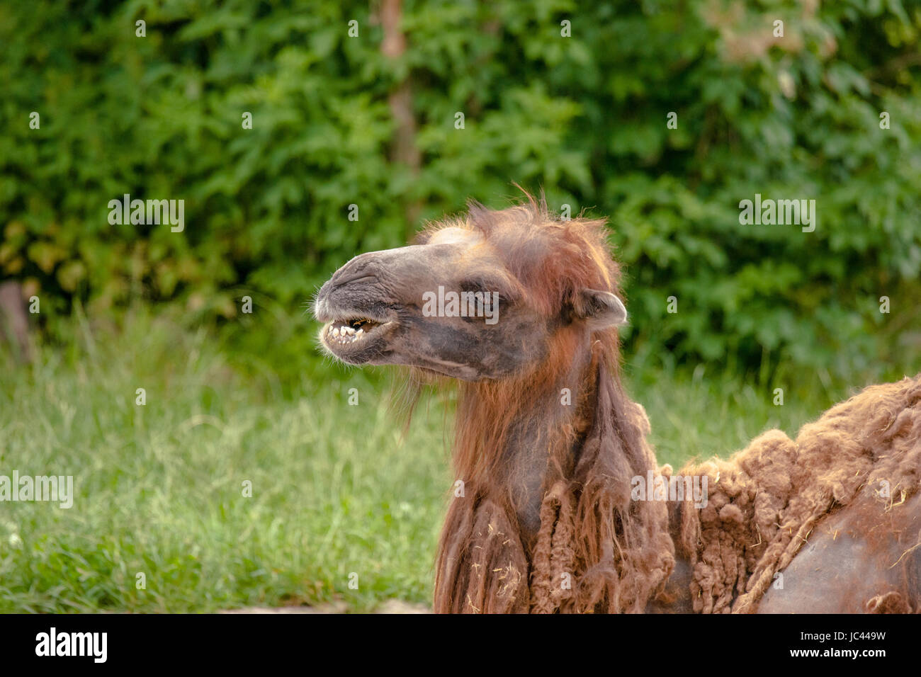 High resolution photo in best quality Stock Photo - Alamy