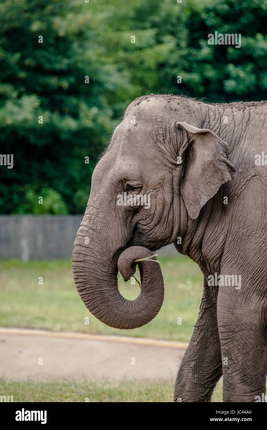 High resolution photo in best quality Stock Photo - Alamy