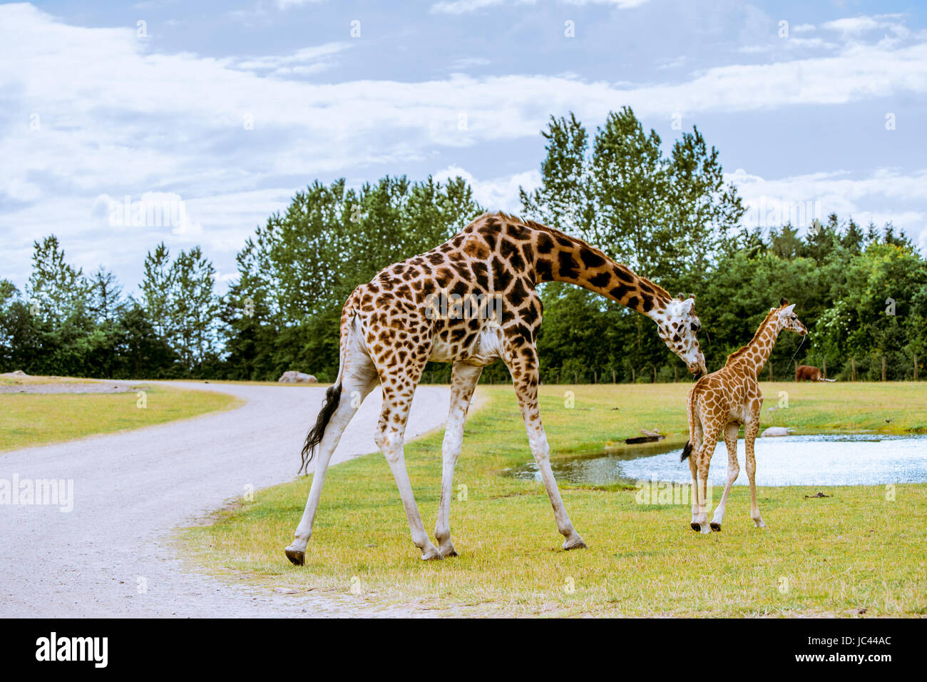 High resolution photo in best quality Stock Photo - Alamy