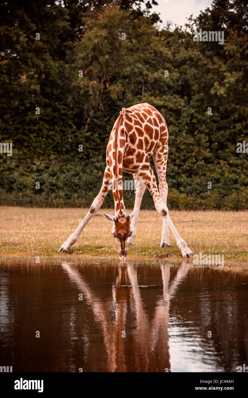 High resolution photo in best quality Stock Photo - Alamy