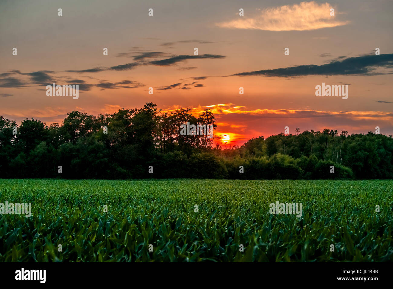 High Resolution Farm Photo High Resolution Stock Photography and Images ...