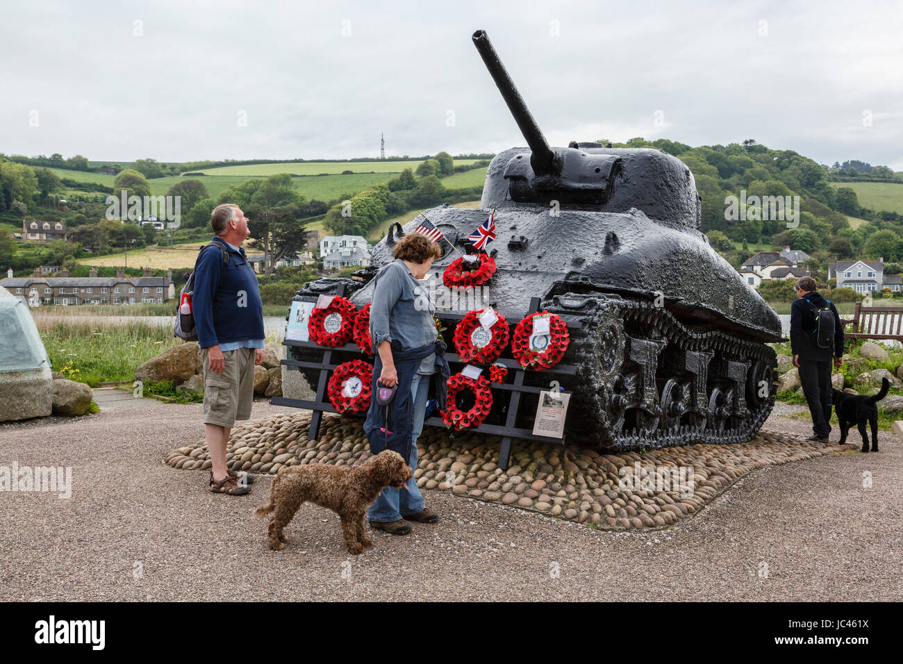 Exercise tiger hi-res stock photography and images - Alamy